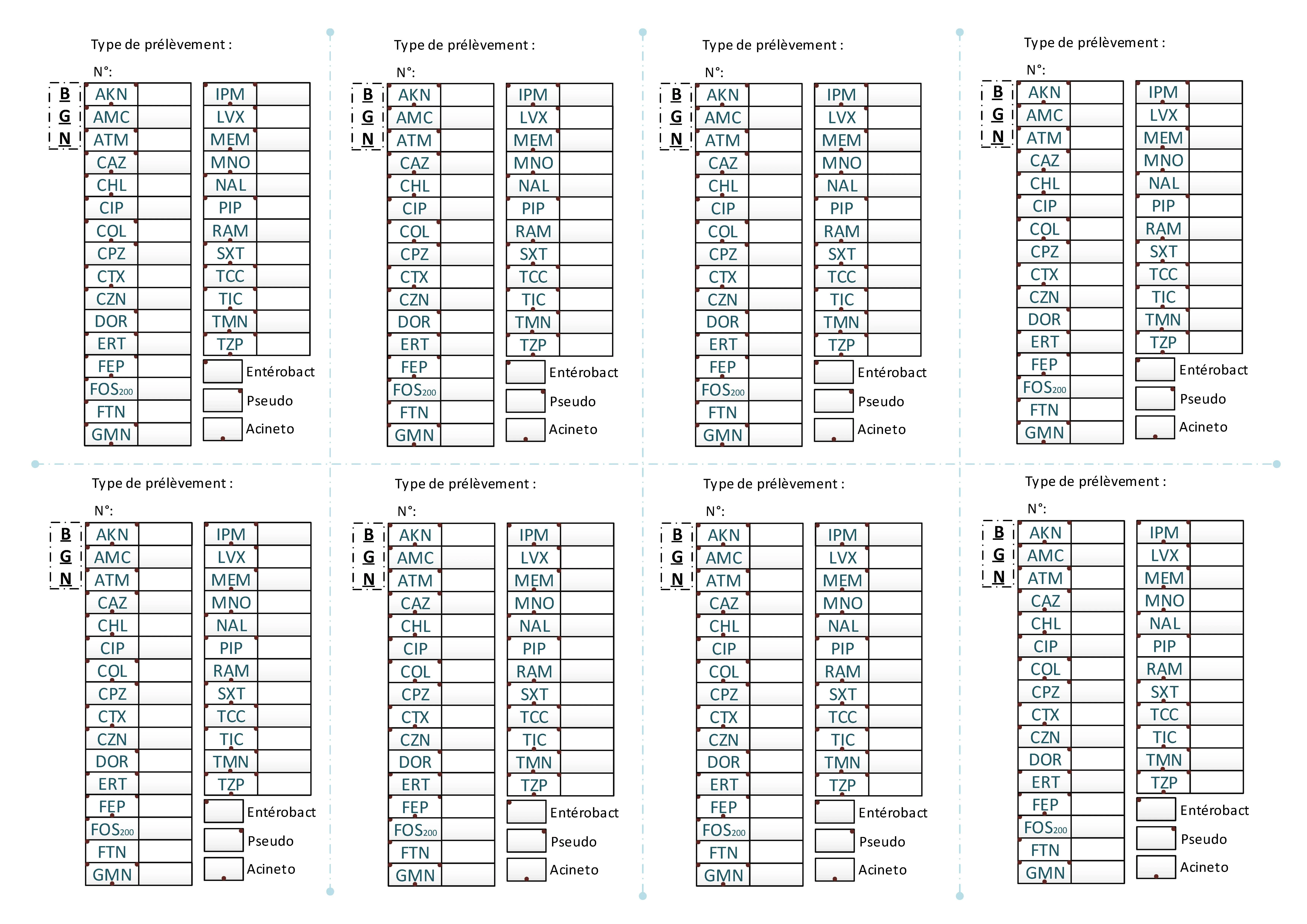 Fiche pour lire l'antibiogramme | BGN