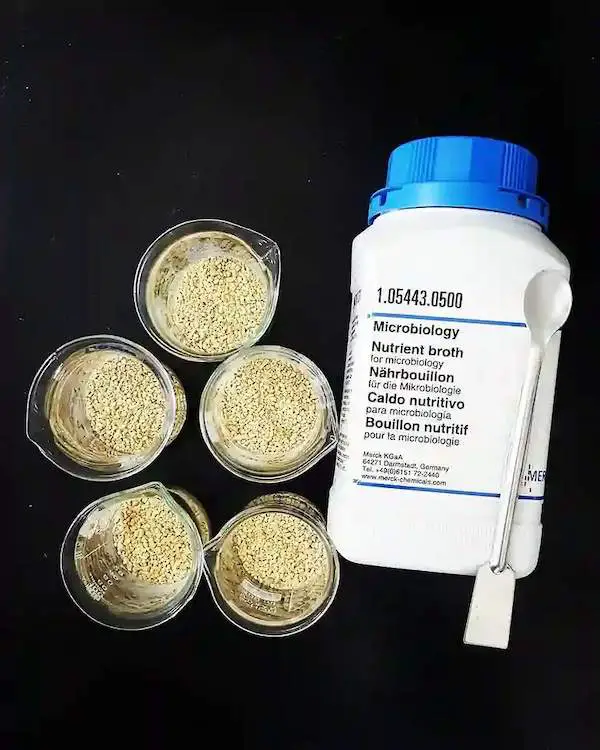 Nutrient broth : Composition, Preparation and Interpretation